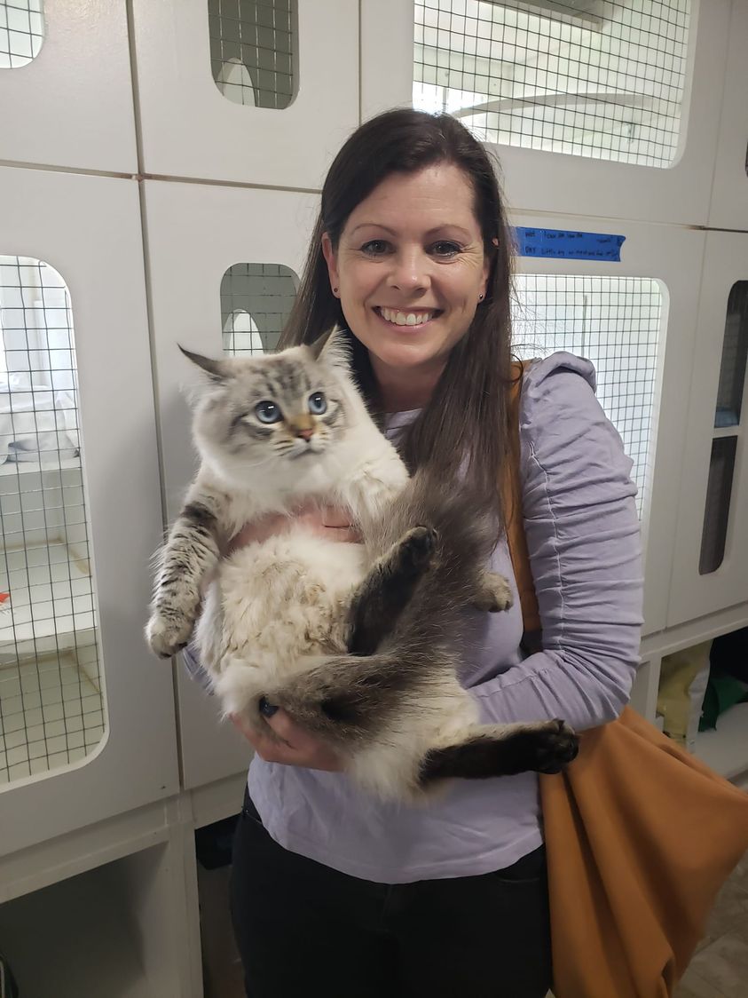 GALLERY – Happy Cats Retreat